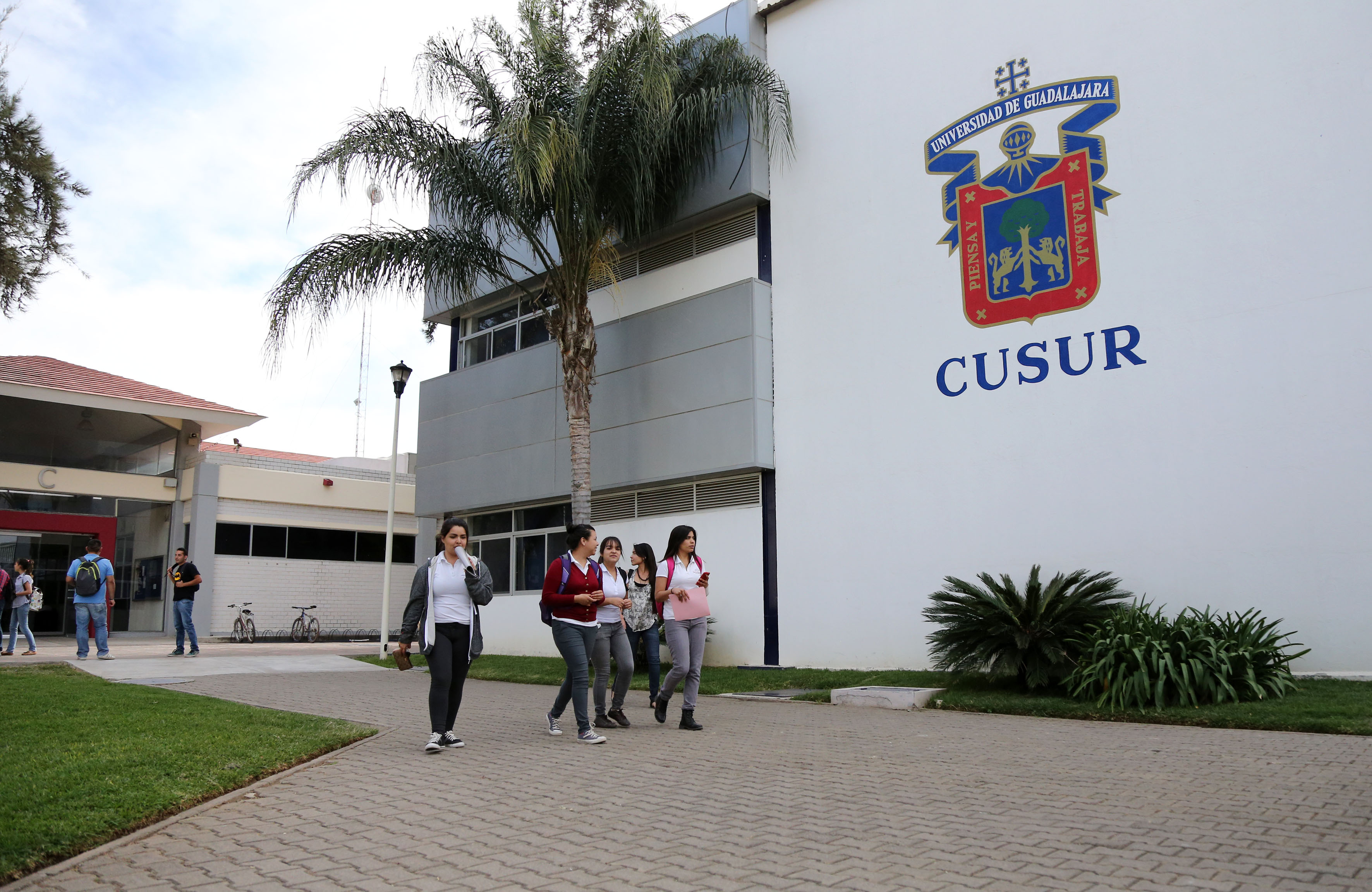 ¿Quiénes sí y quiénes no harán examen de admisión en CUSur? - El Suspicaz